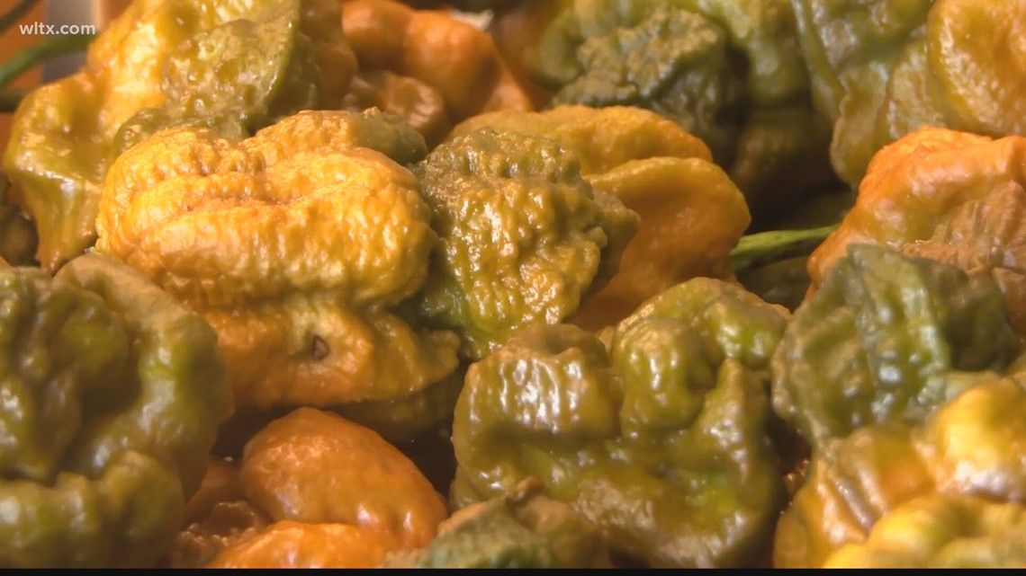 Pepper X takes down Carolina Reaper as world's hottest pepper | wltx.com