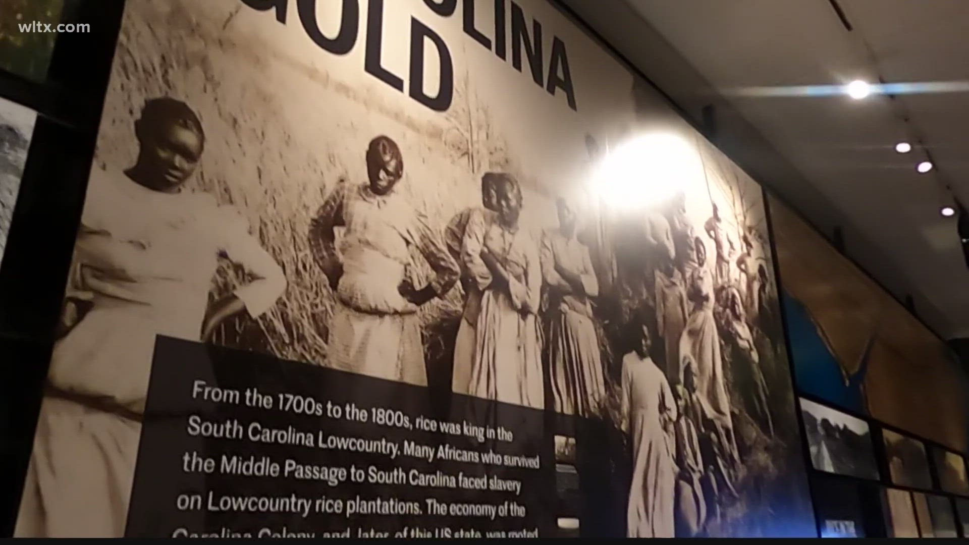 International African American Museum in Charleston opens to public | wltx.com