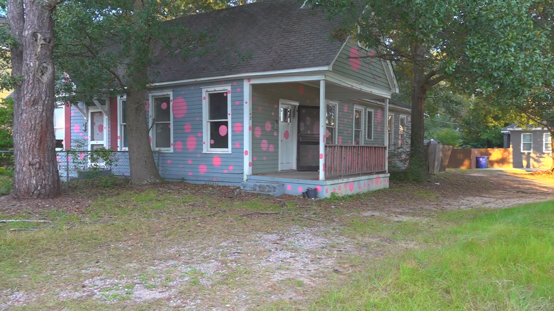 Pink Polka Dot House in Columbia torn down | wltx.com
