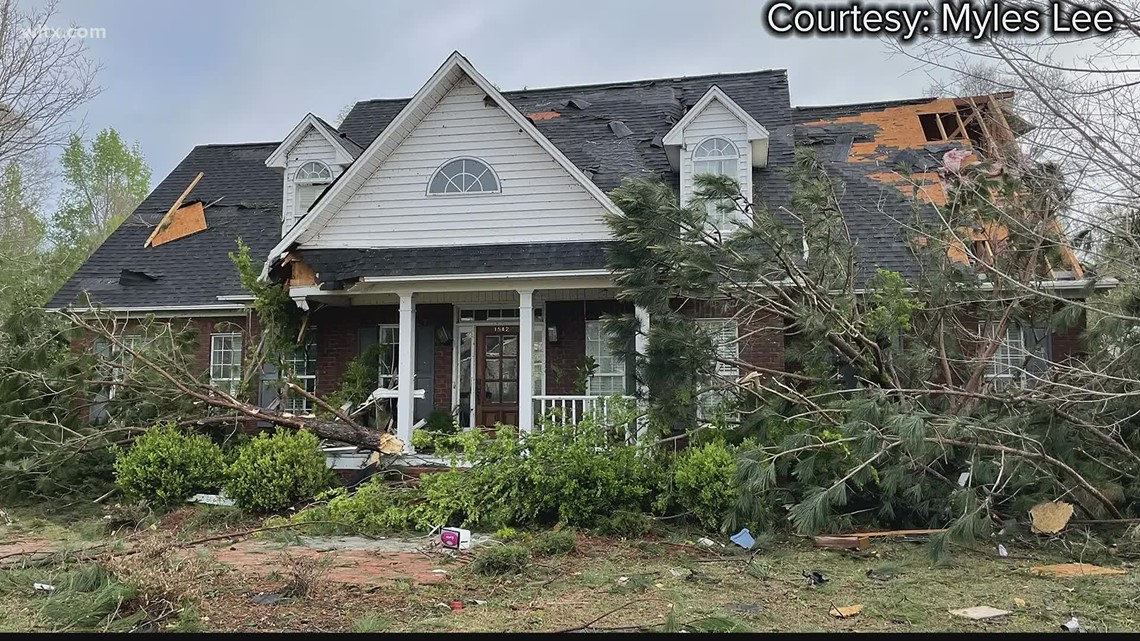 Seed Sanctuary program will send you free seeds in the mail | wltx.com