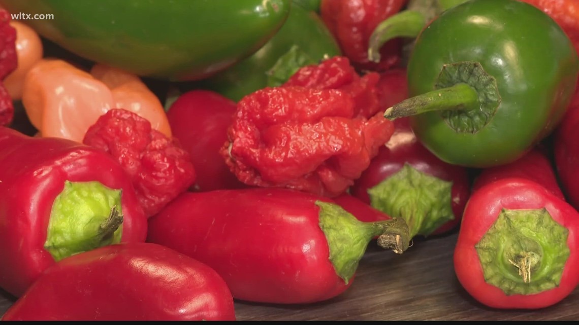 South Carolina company develops new pepper 3 times hotter than Carolina ...