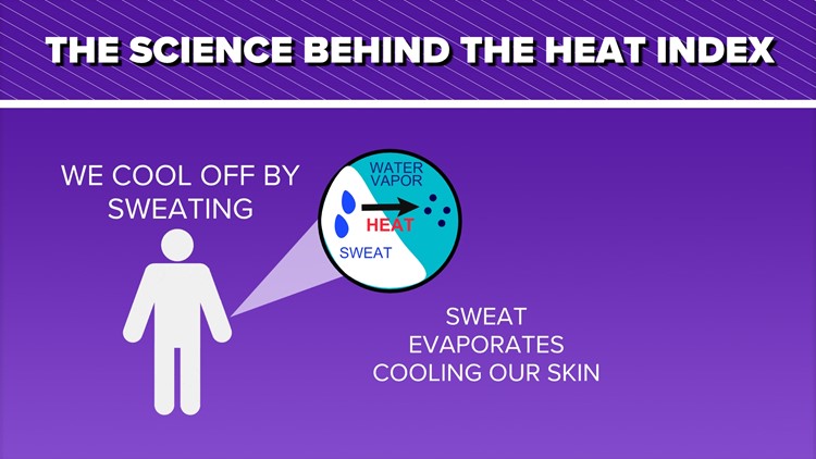 The interesting science behind calculating the heat index | wltx.com