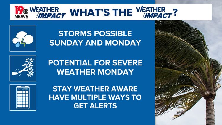 Sumter Street Squad Local News | Sumter, South Carolina | wltx.com