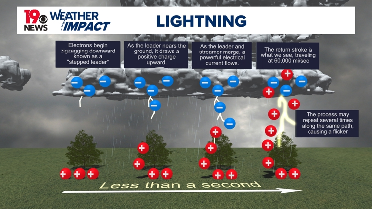 Understanding the science behind lightning strikes | wltx.com