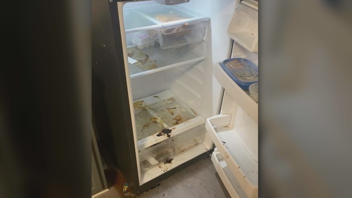 Families find 'filthy' conditions for college move in | wltx.com