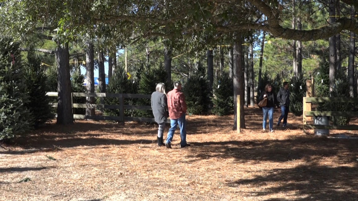 Families return for 39th year as beloved Columbia tree lot sells out ...