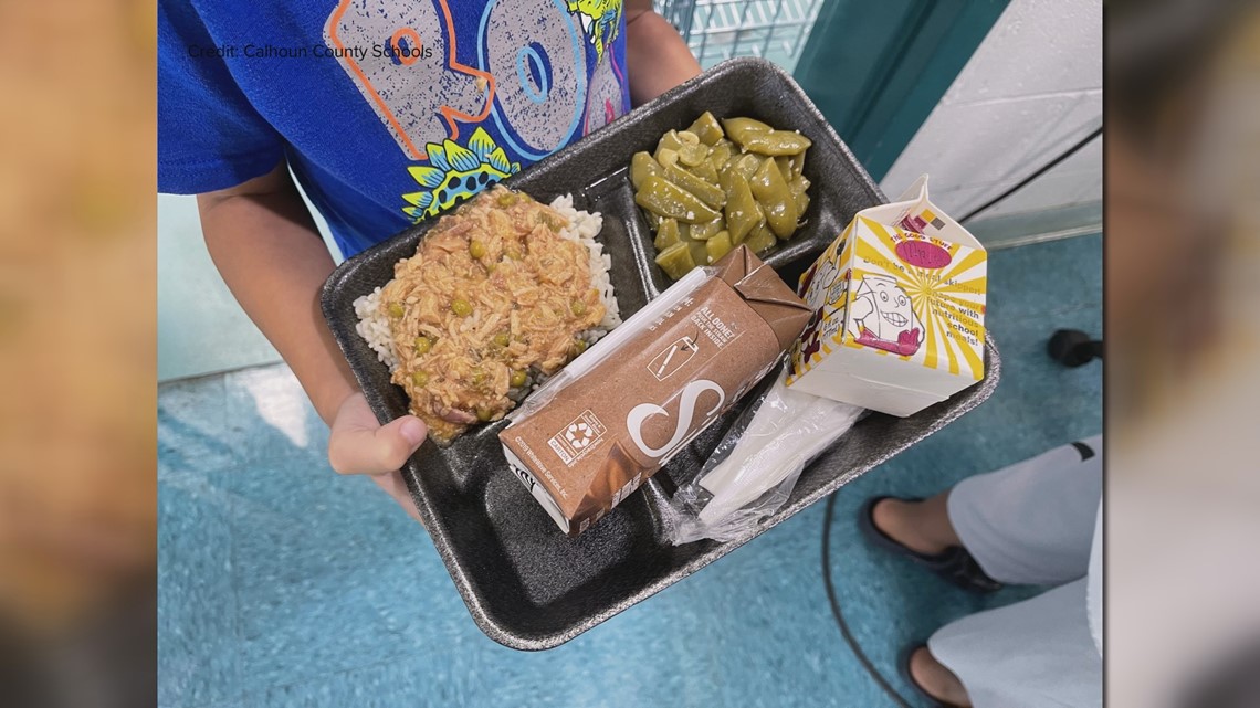 Parents asked to weigh in on new food options in Calhoun County | wltx.com