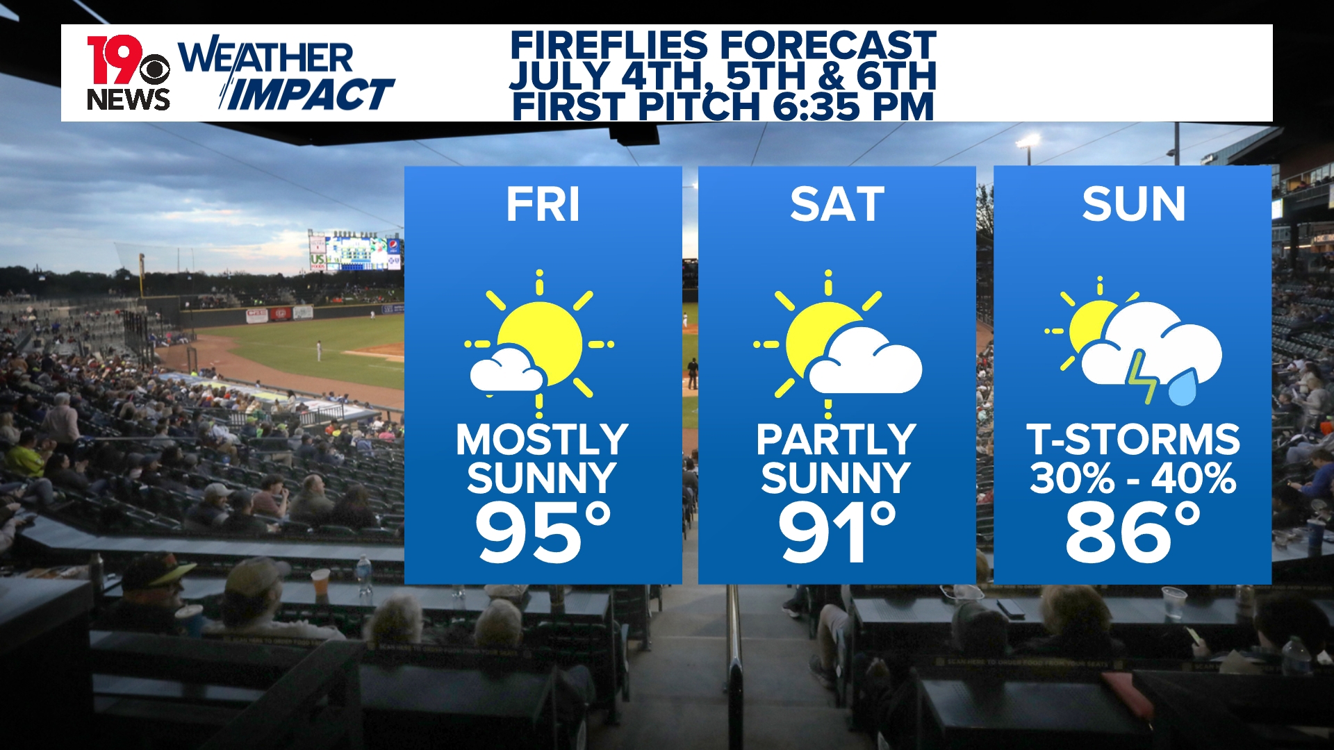 Pepe the Gator blocks traffic in Onslow County, North Carolina | wltx.com