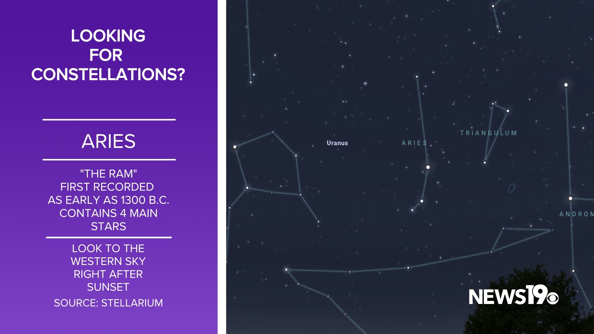 Skywatch Forecast: Great weekend weather to view the stars in SC | wltx.com