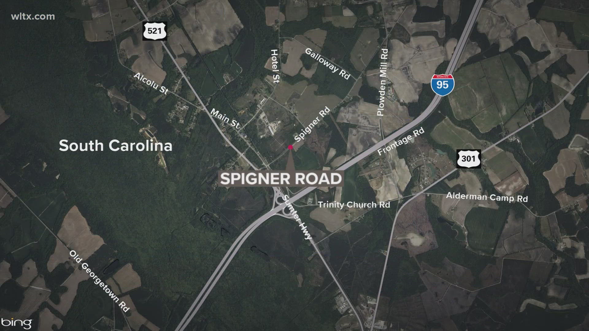 Homanit to open $250M Clarendon County plant by 2028 | wltx.com