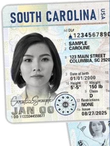 New design of South Carolina driver's licenses debuts | wltx.com