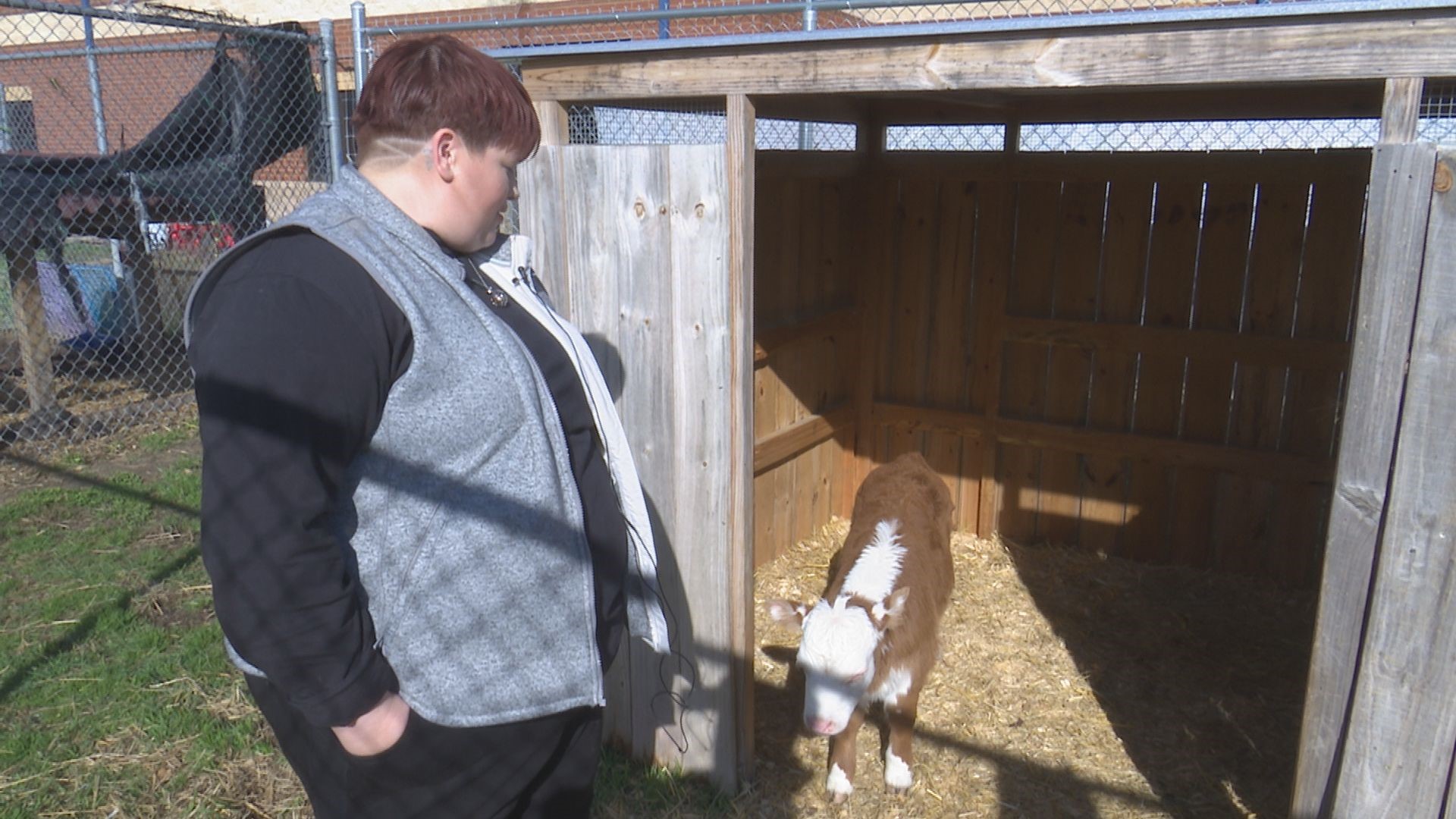 Meet the newest addition to Keenan High School | wltx.com