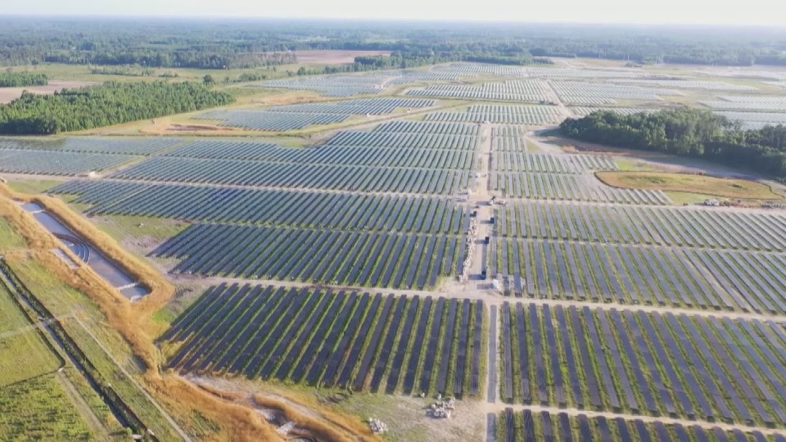 Two new solar farms are coming to Bowman | wltx.com