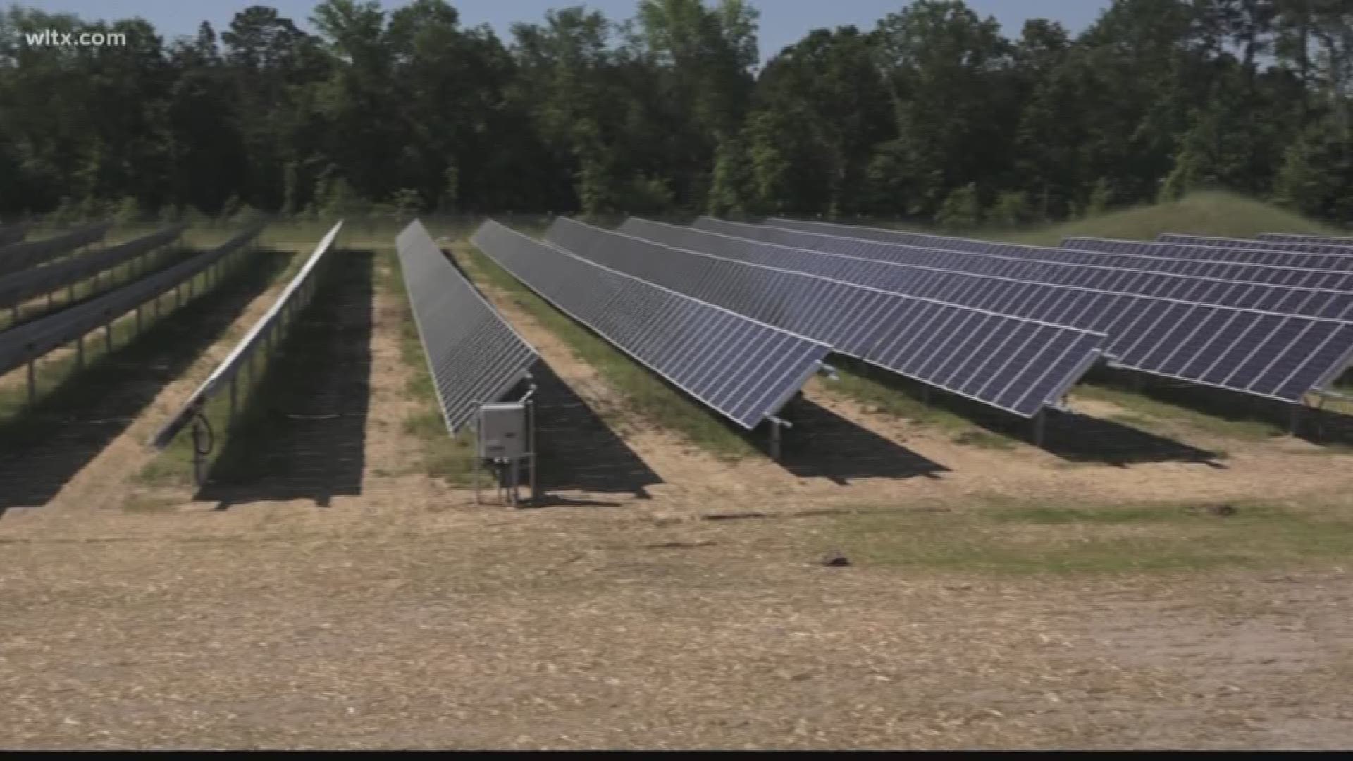 Future Solar Farms On Hold Following Rate Cut | wltx.com