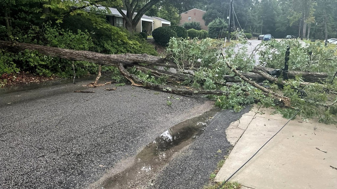 Tree down, power lines block Lexington road; outages for 125 home ...