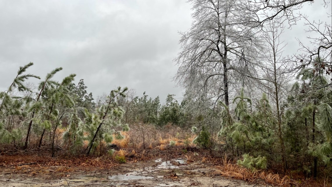 South Carolina winter storm photos | wltx.com