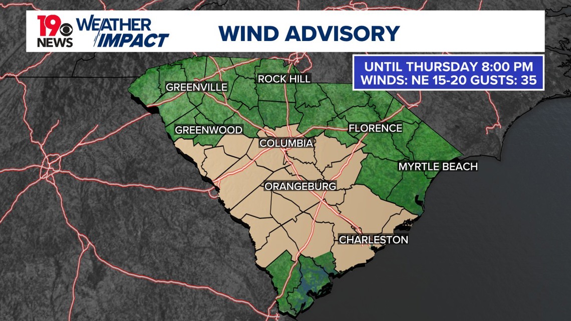 Wind advisory in effect for most of the Midlands | wltx.com