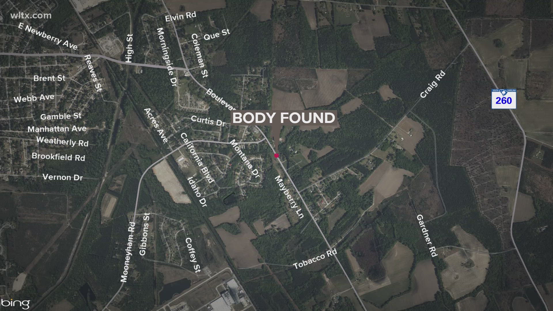Two sets of human remains found in Sumter County | wltx.com