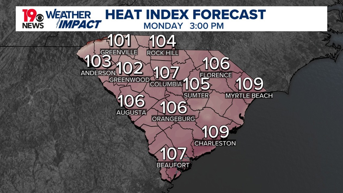 Scorching South Carolina heat and high humidity today | wltx.com