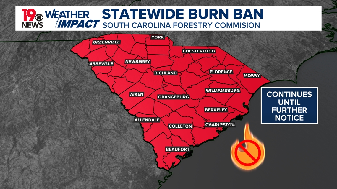 South Carolina bans burning due to high fire risk | wltx.com