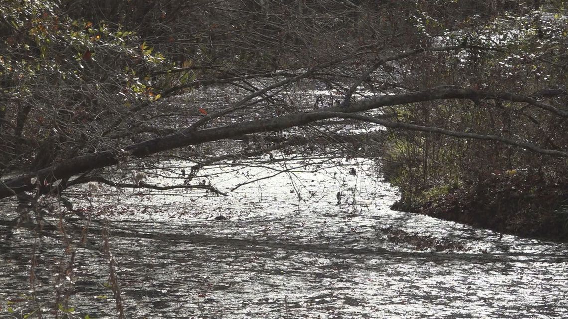 Orangeburg County working to restore Horse Range Watershed drainage ...