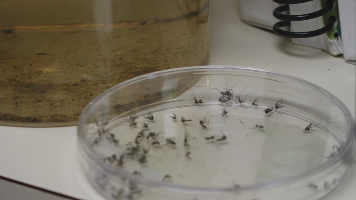 Richland County has a new way of tracking mosquitoes and diseases ...