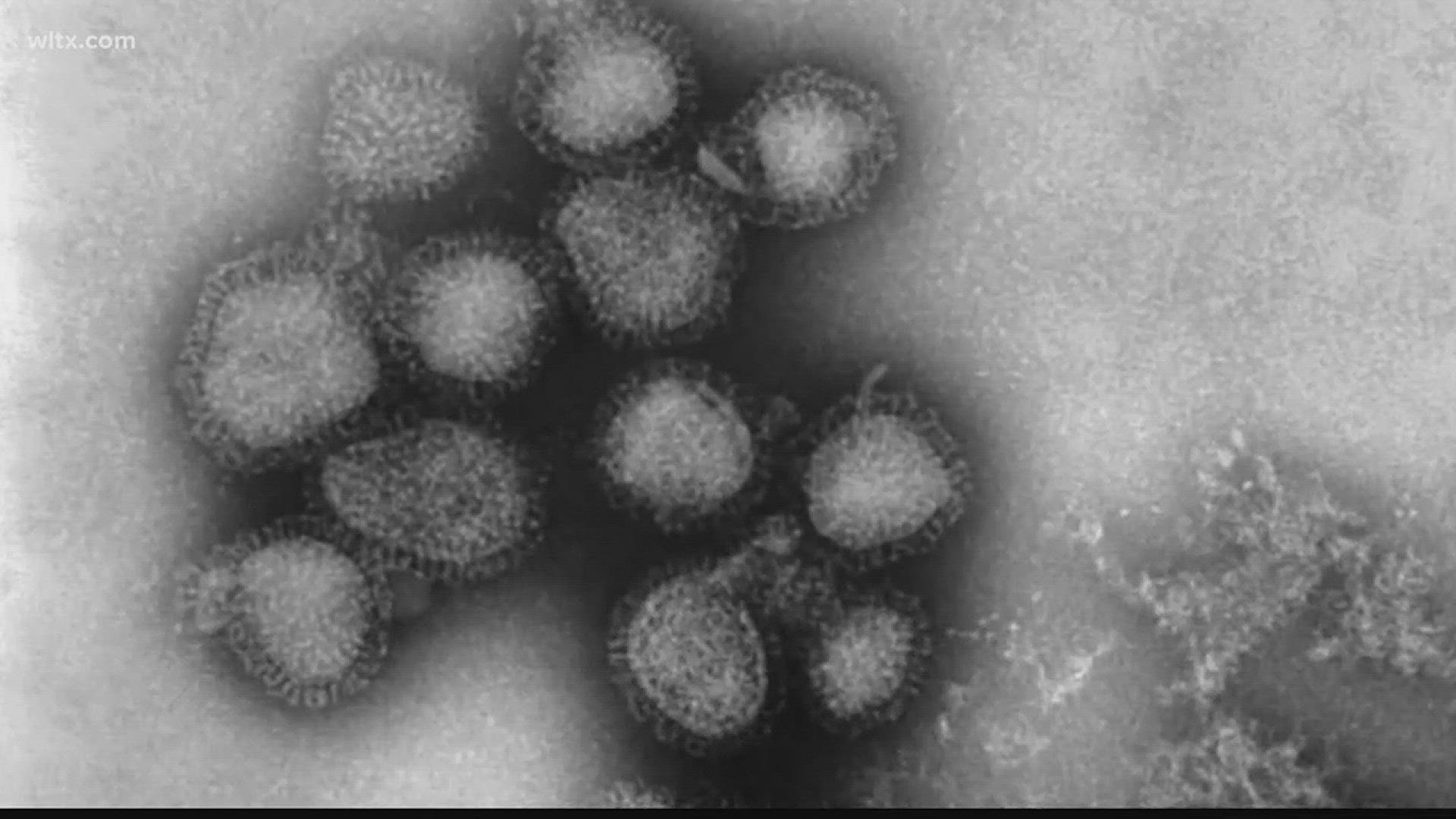 Verify: How Long Are You Contagious With The Flu | wltx.com