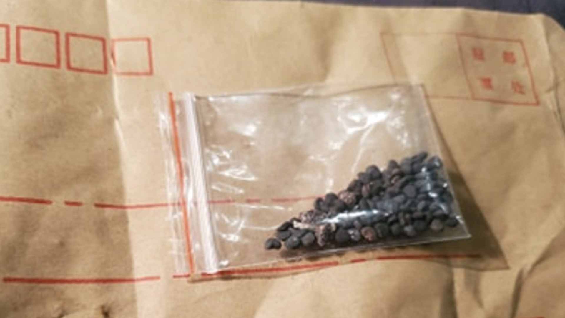 Receive unsolicited mail? It may be a brushing scam | wltx.com