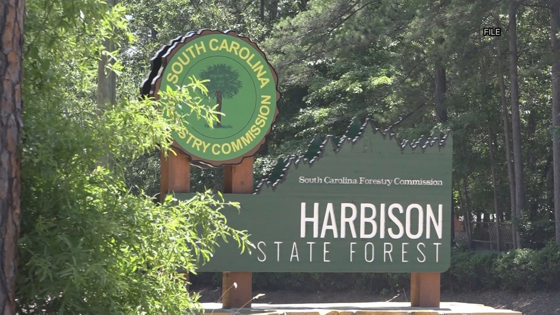 Harbison State Forest closed following dog attack, sightings | wltx.com
