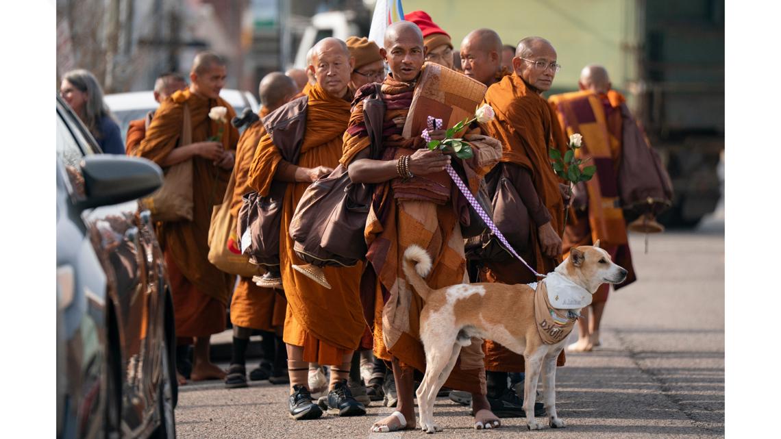 Buddhist monks and their dog captivate Americans while walking for ...