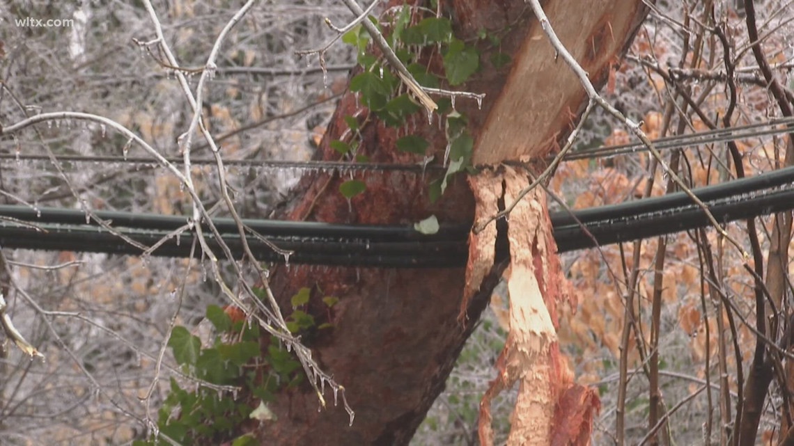 Looking back at the ice storm of 2014 in South Carolina | wltx.com