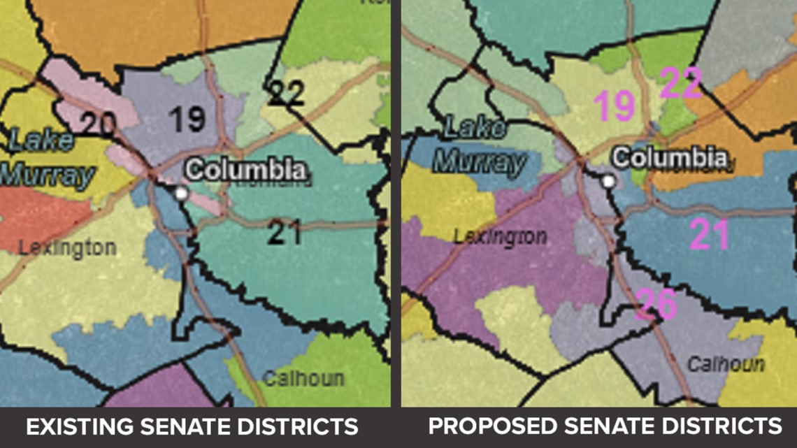 SC Senate releases redistricting plans | wltx.com