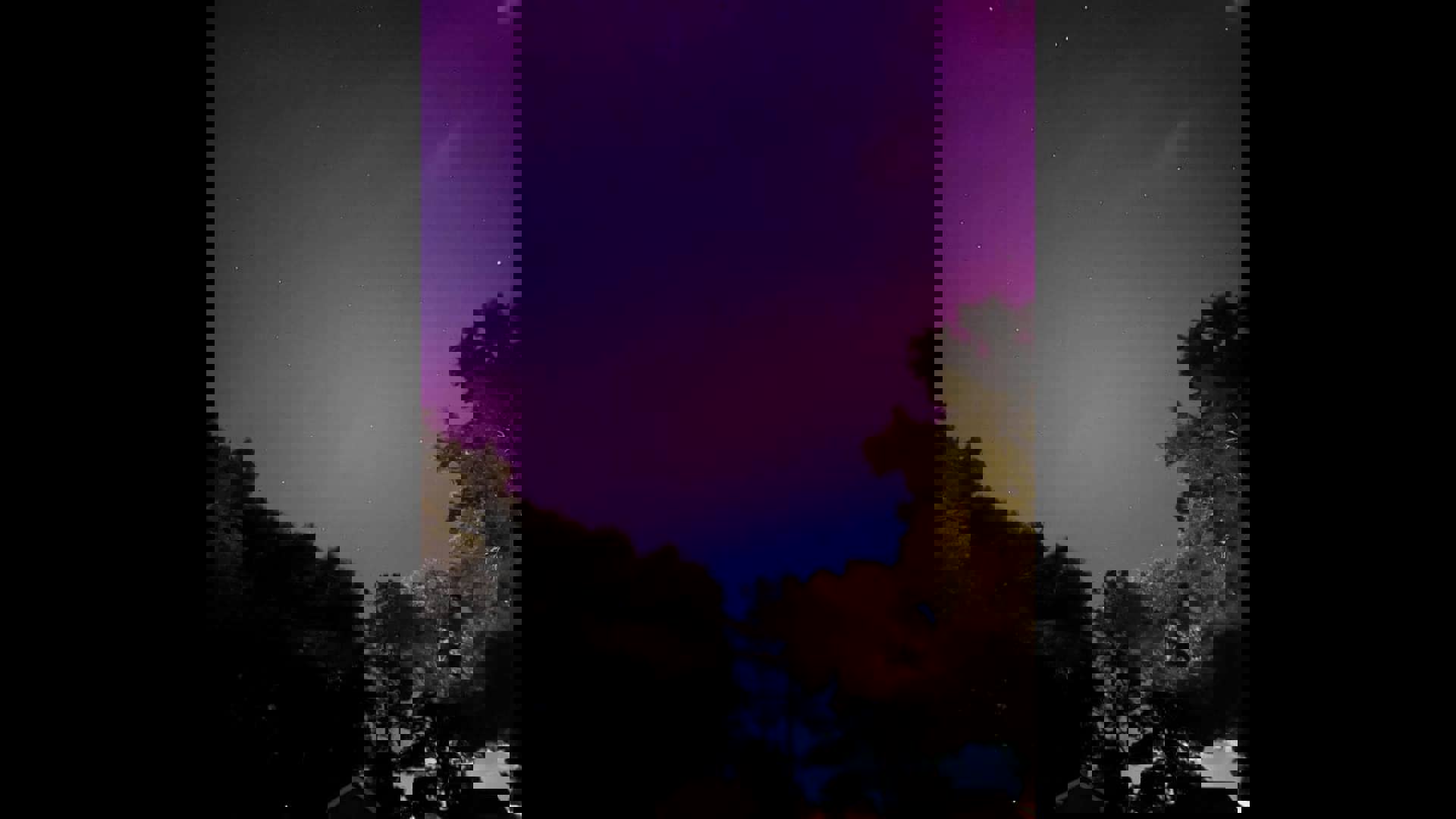 Did South Carolina see the northern lights on Friday? | wltx.com