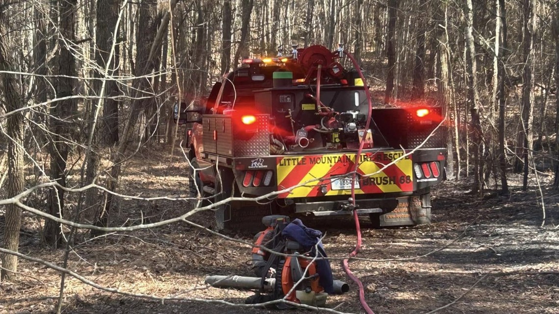 South Carolina wildfire issue grows as state orders burn ban, state of ...