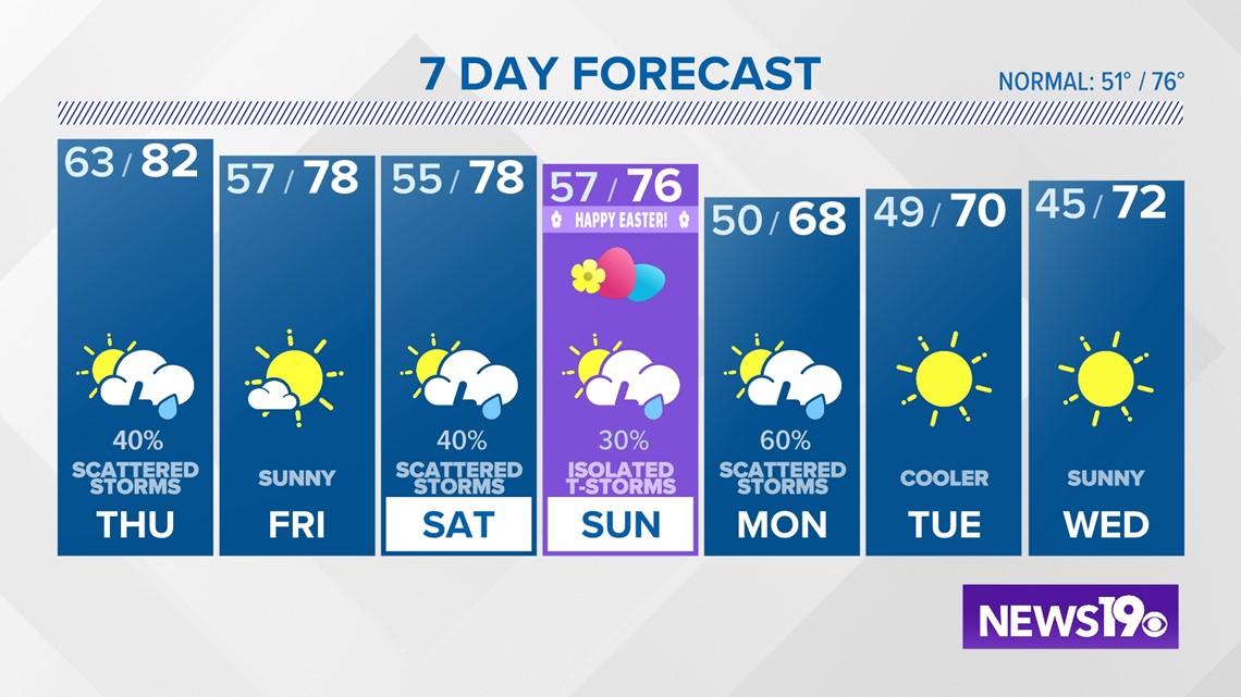 Purple Martins Flock to Lake Murray By the Hundred Thousands | wltx.com