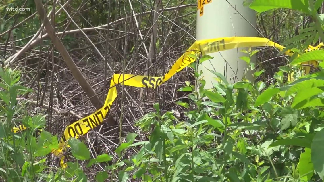 Jamie Allen arrested in North Carolina after fatal shooting of Carol ...