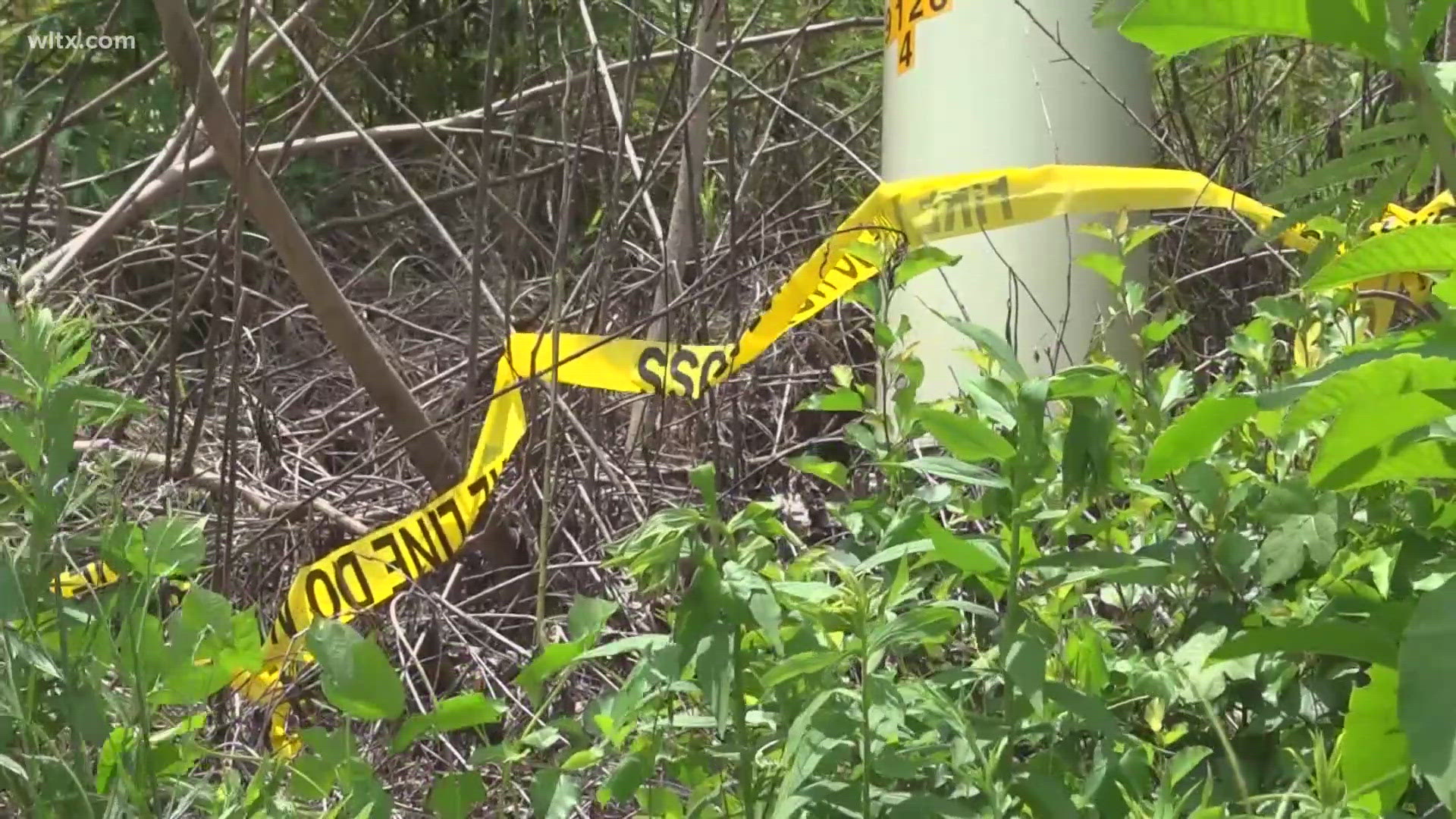 Jamie Allen arrested in North Carolina after fatal shooting of Carol Baker in Lee County | wltx.com