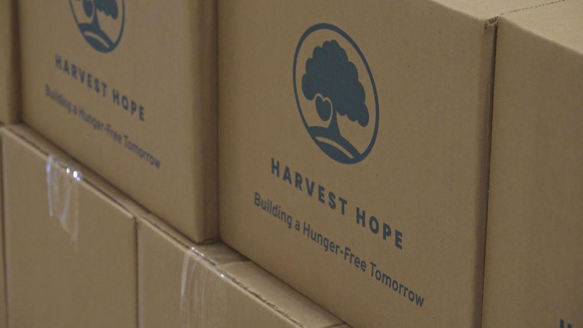 Hollywood director Carl Erik Rinsch arrested over alleged Netflix fraud ...