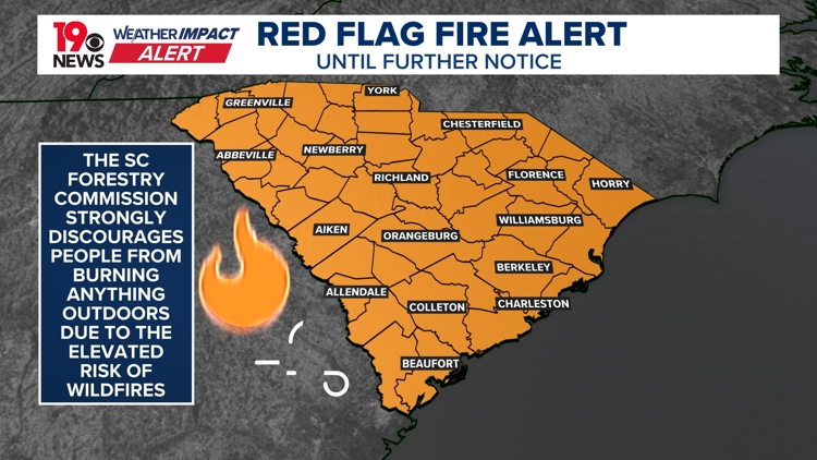 South Carolina under Red Flag Fire Alert as dry, windy conditions ...
