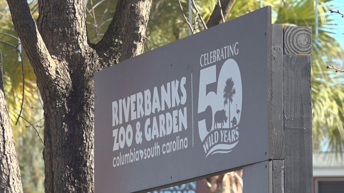 Small fire closes Riverbanks Zoo's gift shop | wltx.com