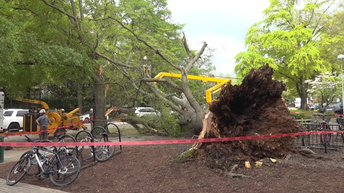 Columbia, South Carolina storm damage | wltx.com