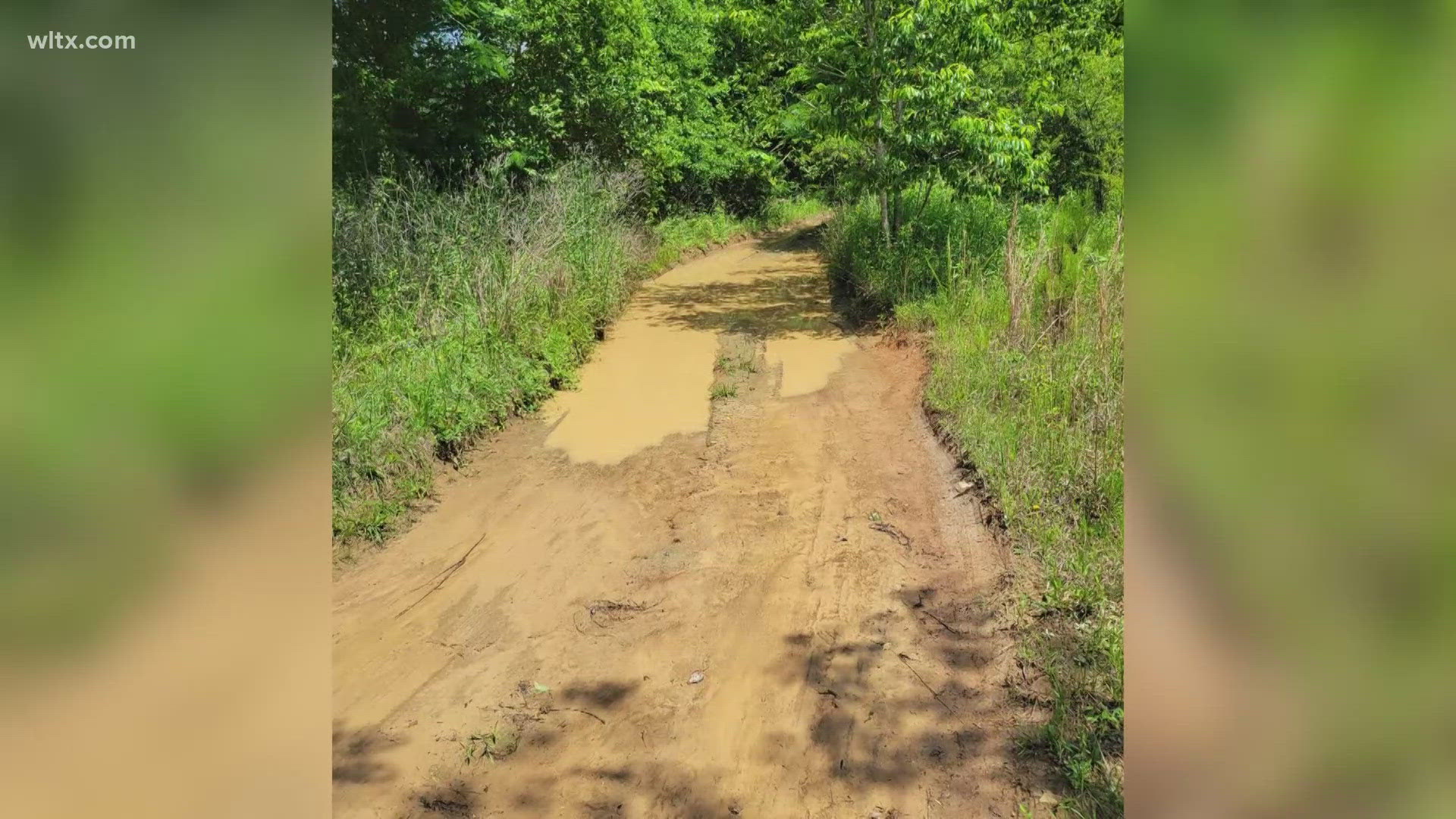 Sumter County considers ordinance to repair private roads | wltx.com