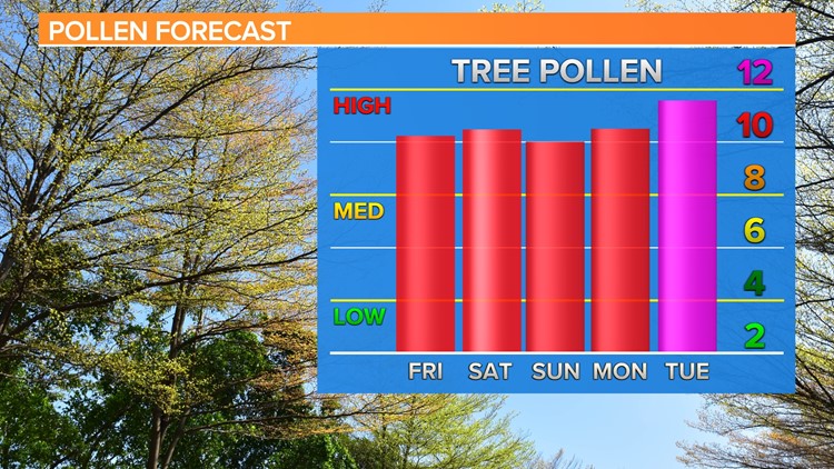 Pollen count rises after rain | wltx.com