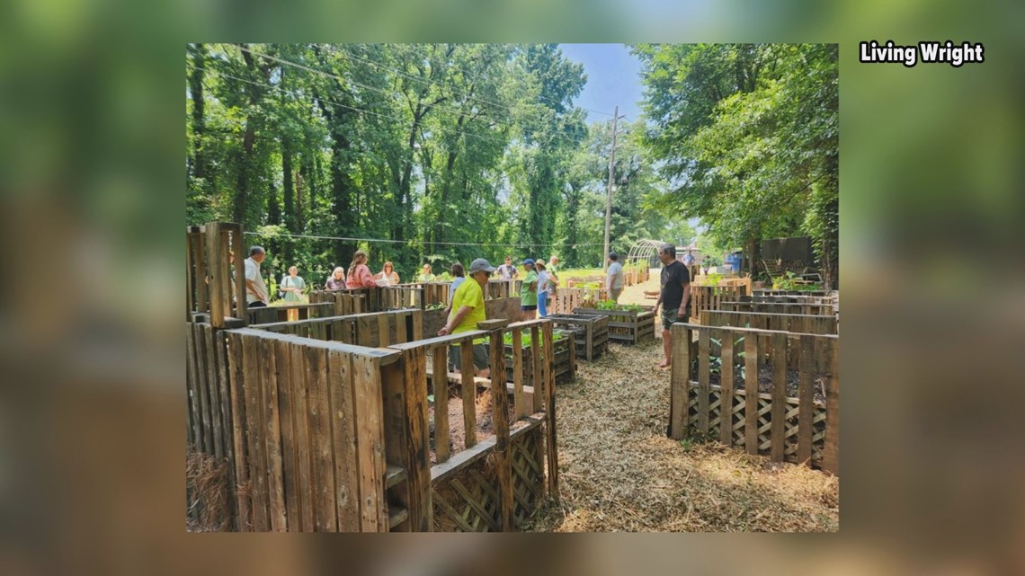 Group hoping to put urban farm in Columbia | wltx.com