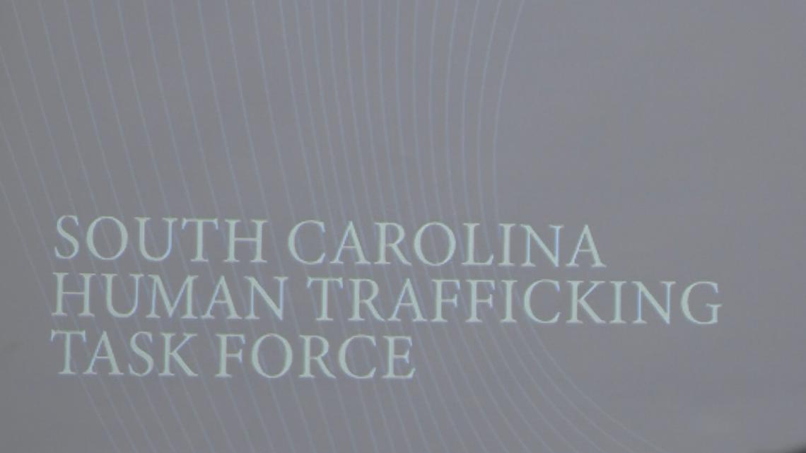 Human trafficking task force 2025 report, 72% of victims in South ...