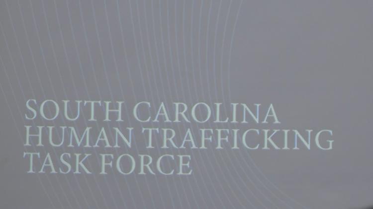 Human trafficking task force 2025 report, 72% of victims in South ...