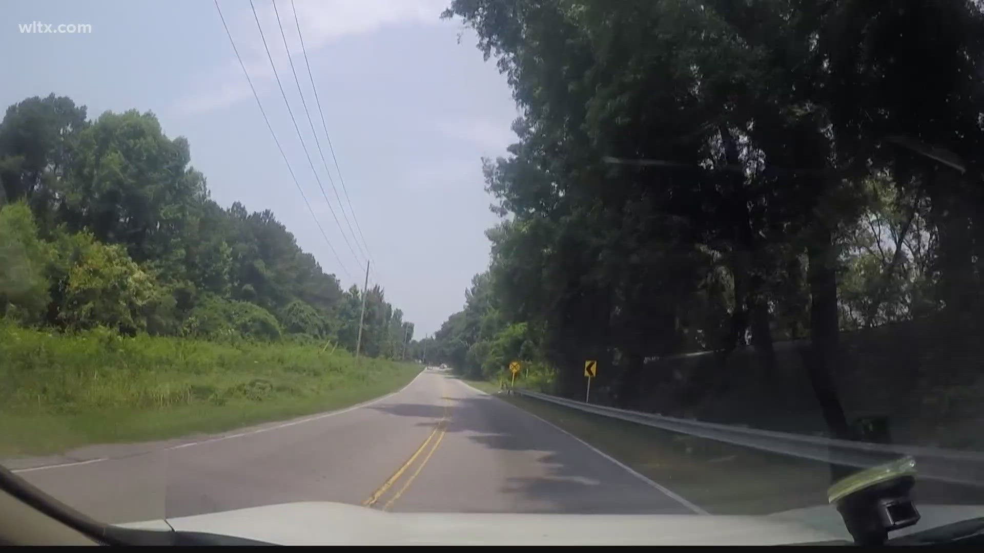 Pedestrian killed in Two Notch Road accident ID'd as Luis Lizardi ...