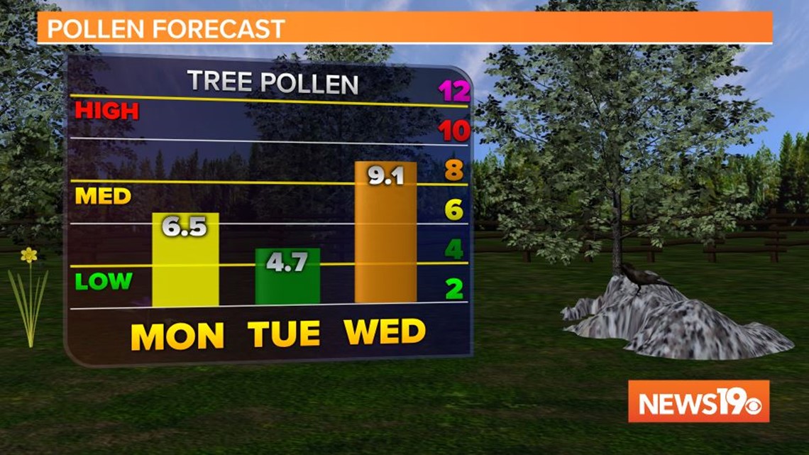 Pollen levels will increase by Wednesday | wltx.com