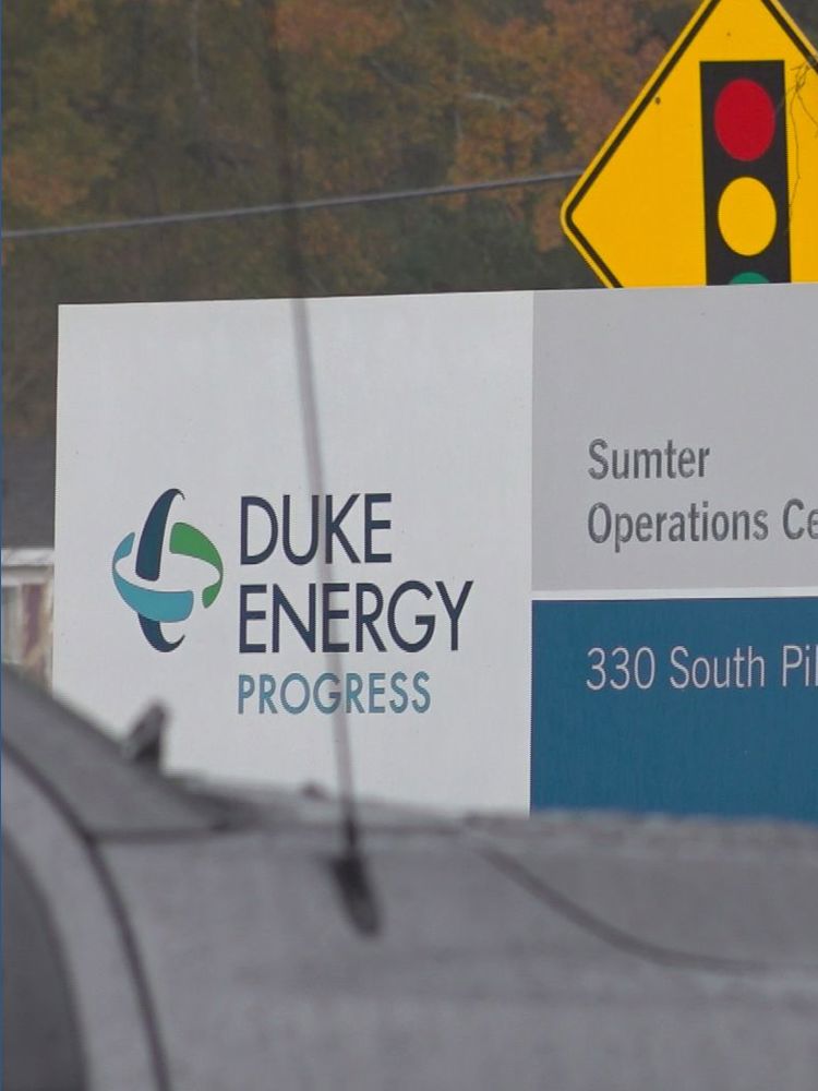 South Carolina regulators approve Duke Energy Progress rate hike ...