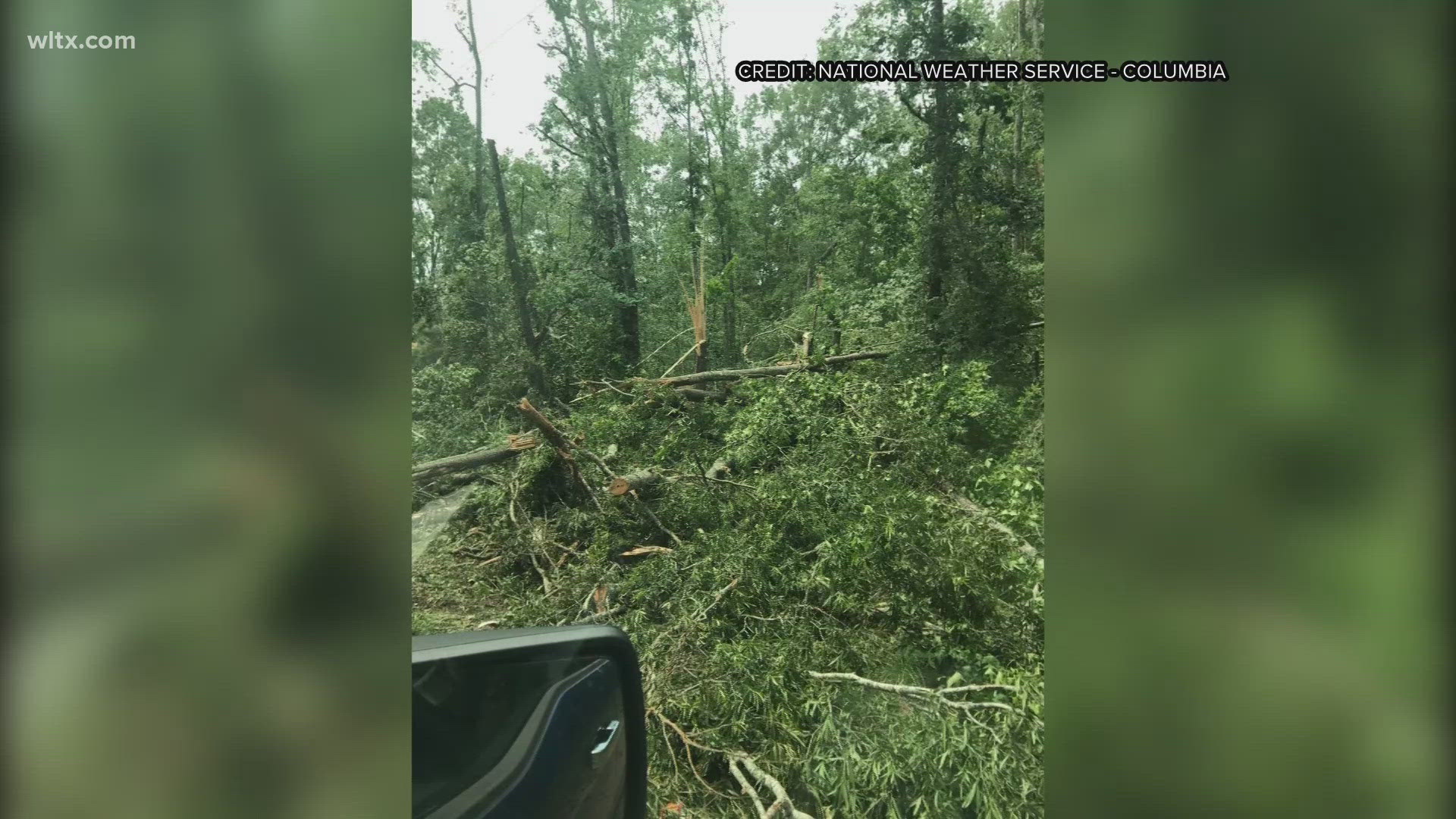 EF-1 tornado hits Clarendon County, South Carolina, on Friday | wltx.com